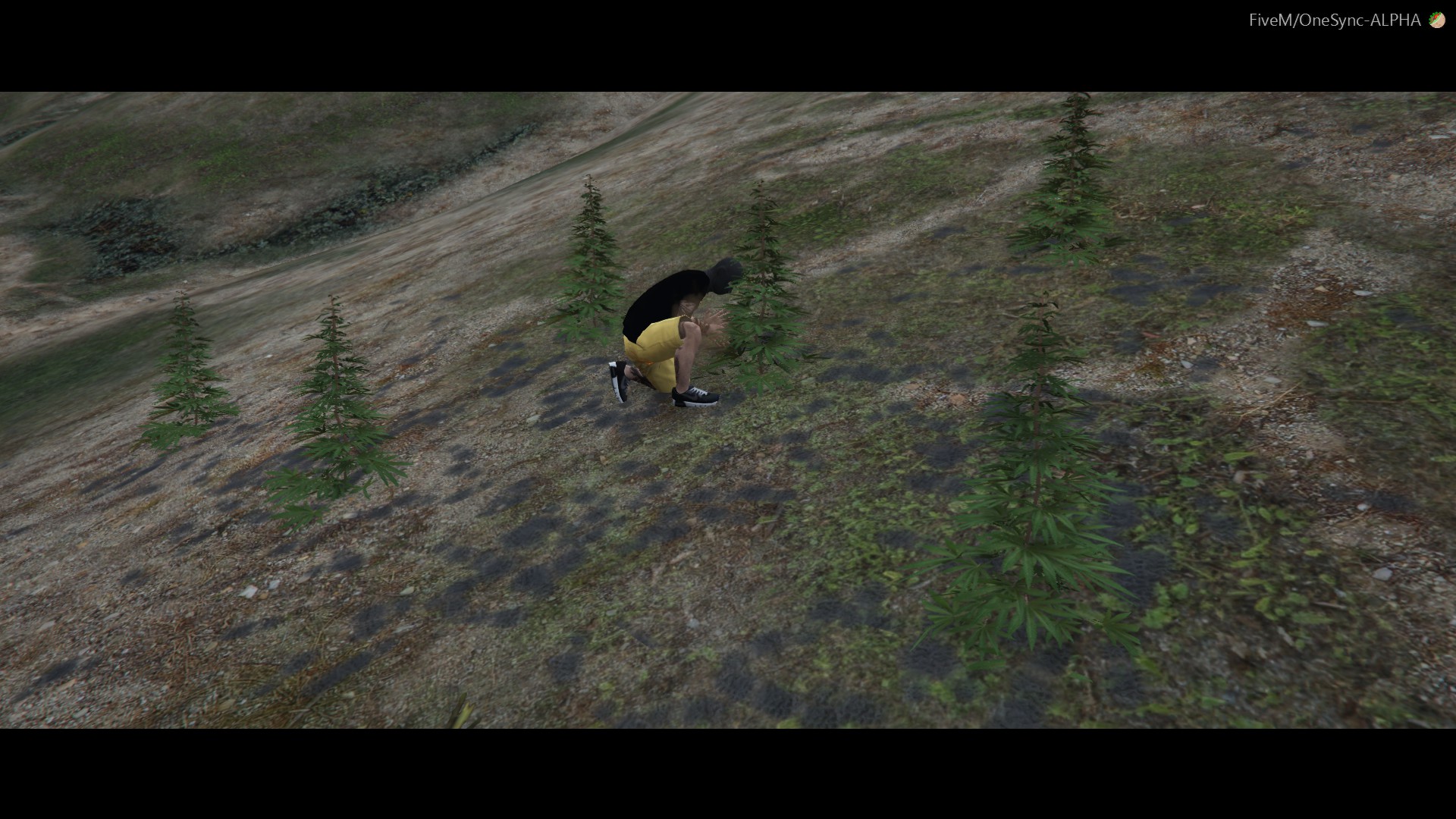 [FR/BE/QC]|City Relax RP |+16|60FPS|Nouvelle ville|RP sérieux ...